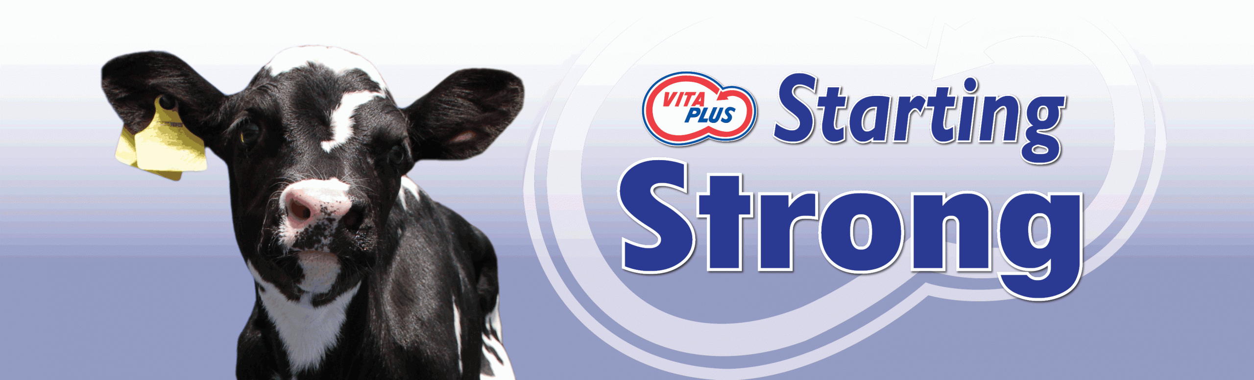 Are Your Calves Feeling the Heat of Summer? - Ann Hoskins - Vita Plus