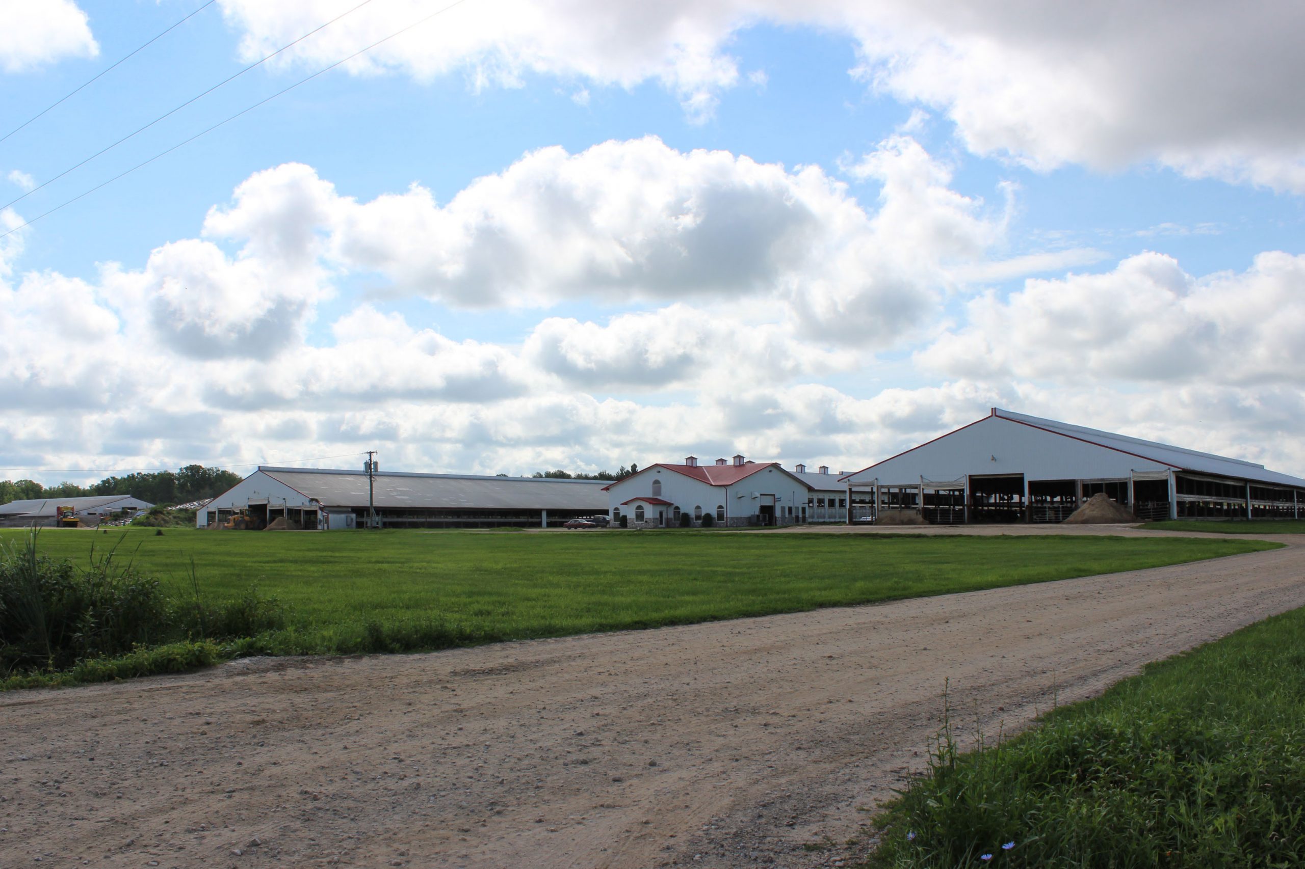 Virtual Farm Tour: Aquila Dairy Farms - Vita Plus
