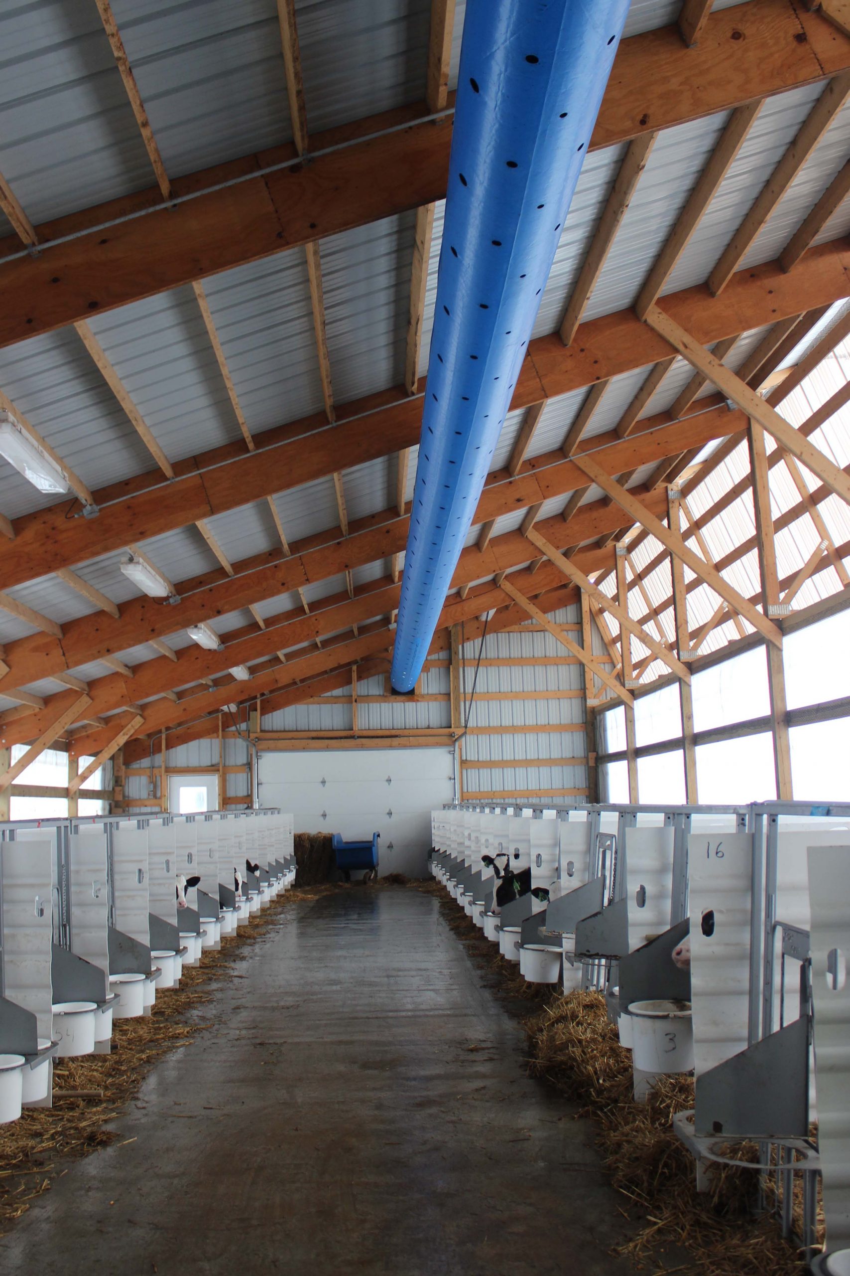 Virtual Farm Tour: Wittenberg Embryo Transfer - Vita Plus