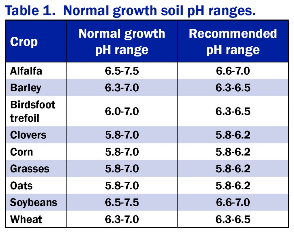 What's the best crop for my soil? - Vita Plus