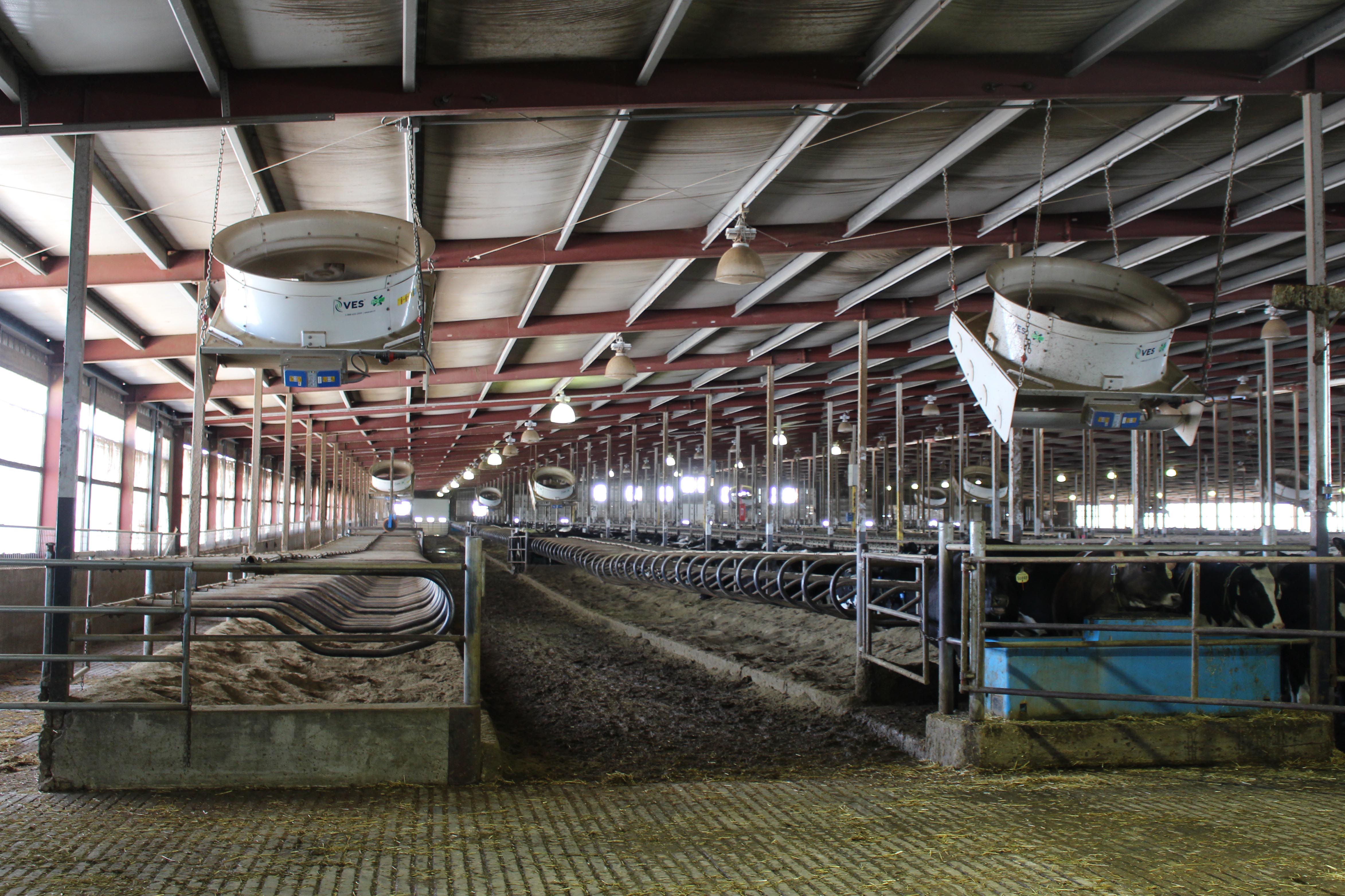Virtual Farm Tour: Pagel’s Ponderosa Dairy, LLC - Vita Plus