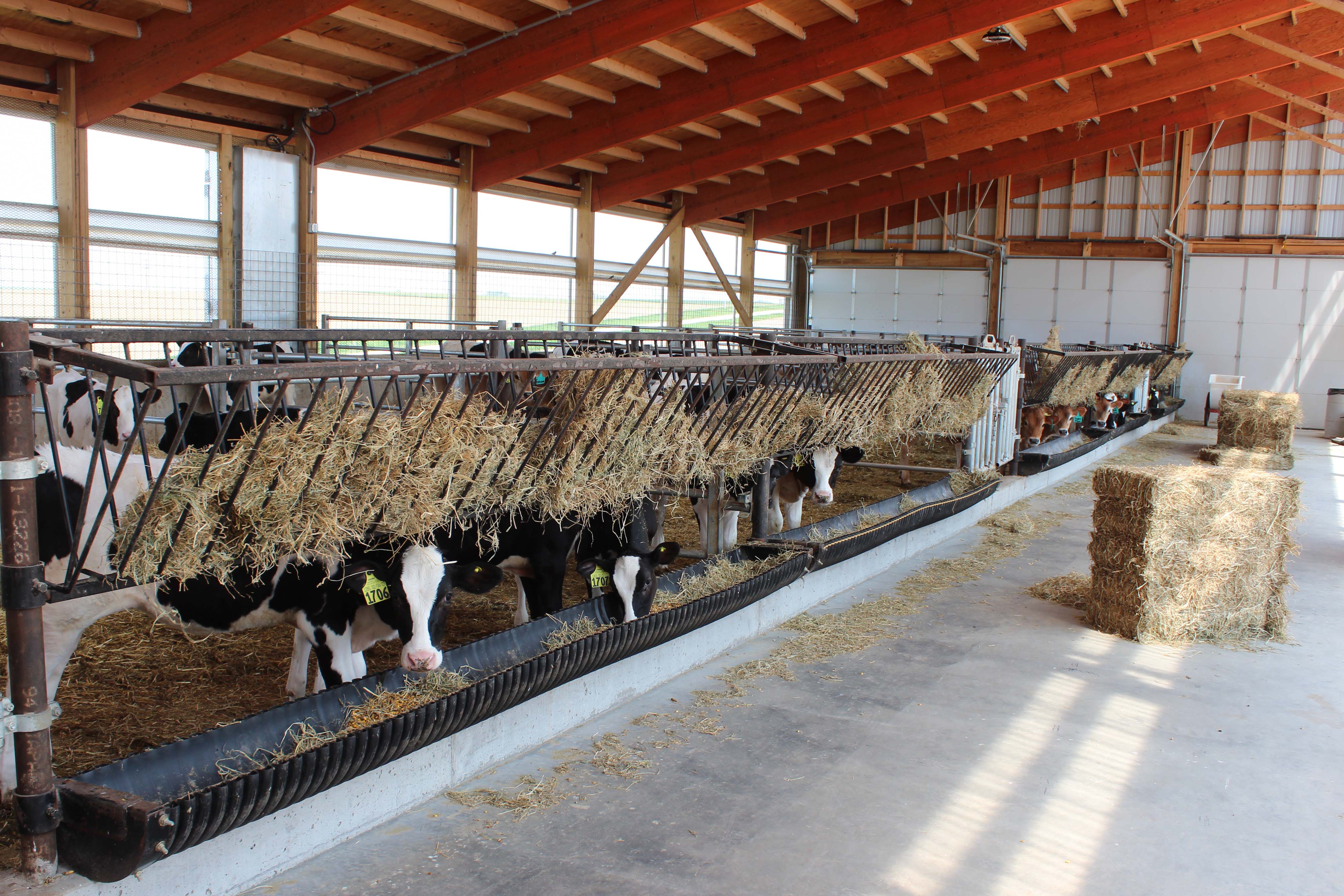 Virtual Farm Tour: McAllister Family Dairy - Vita Plus