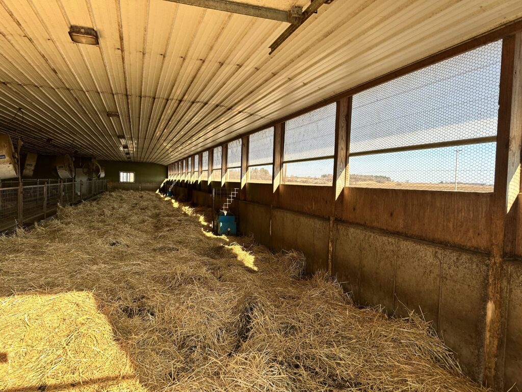 Dairy goat farm reduces waste, improves profitability by feeding a TMR ...