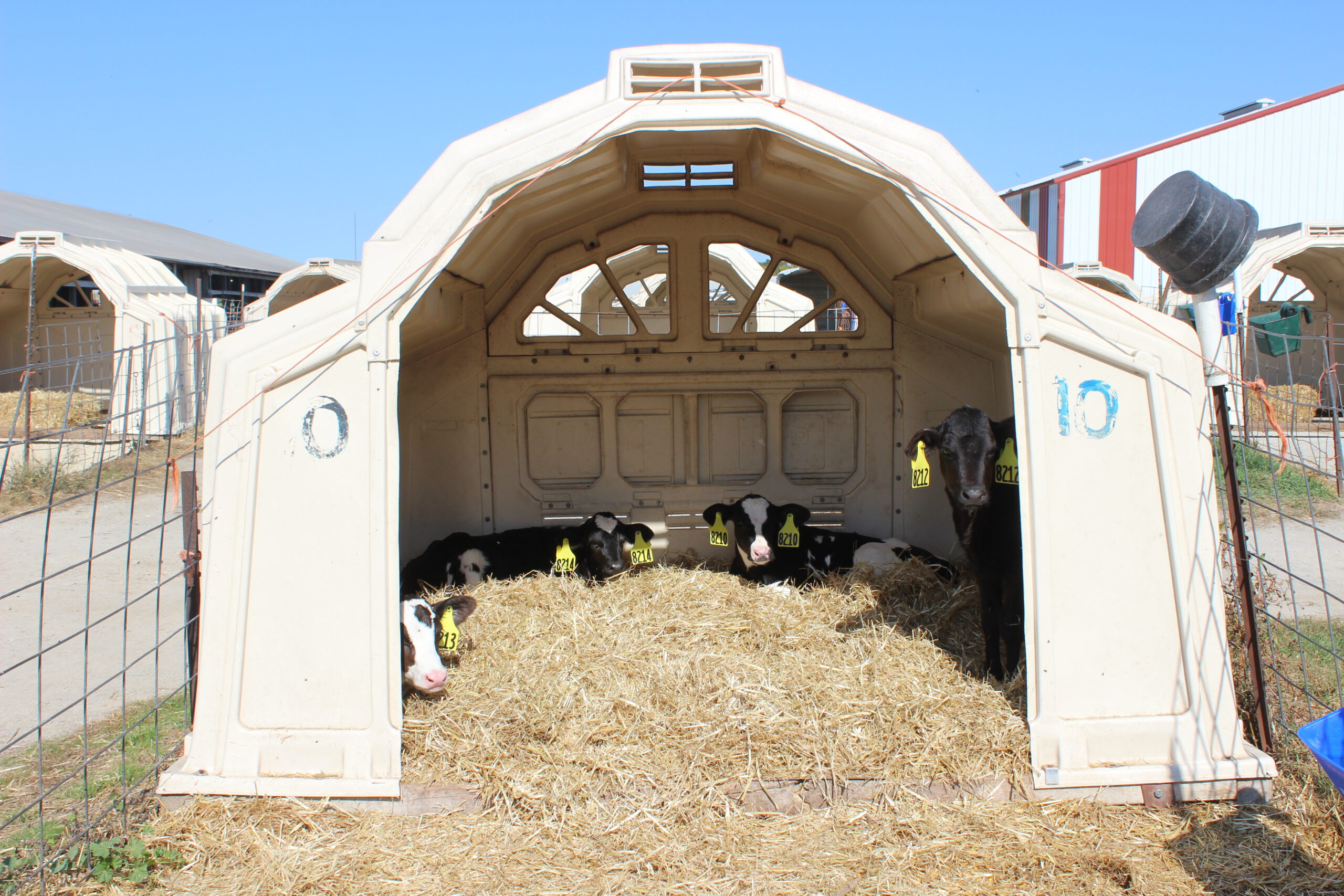 Virtual Farm Tour: Learning from new ventures is the philosophy at Tri ...